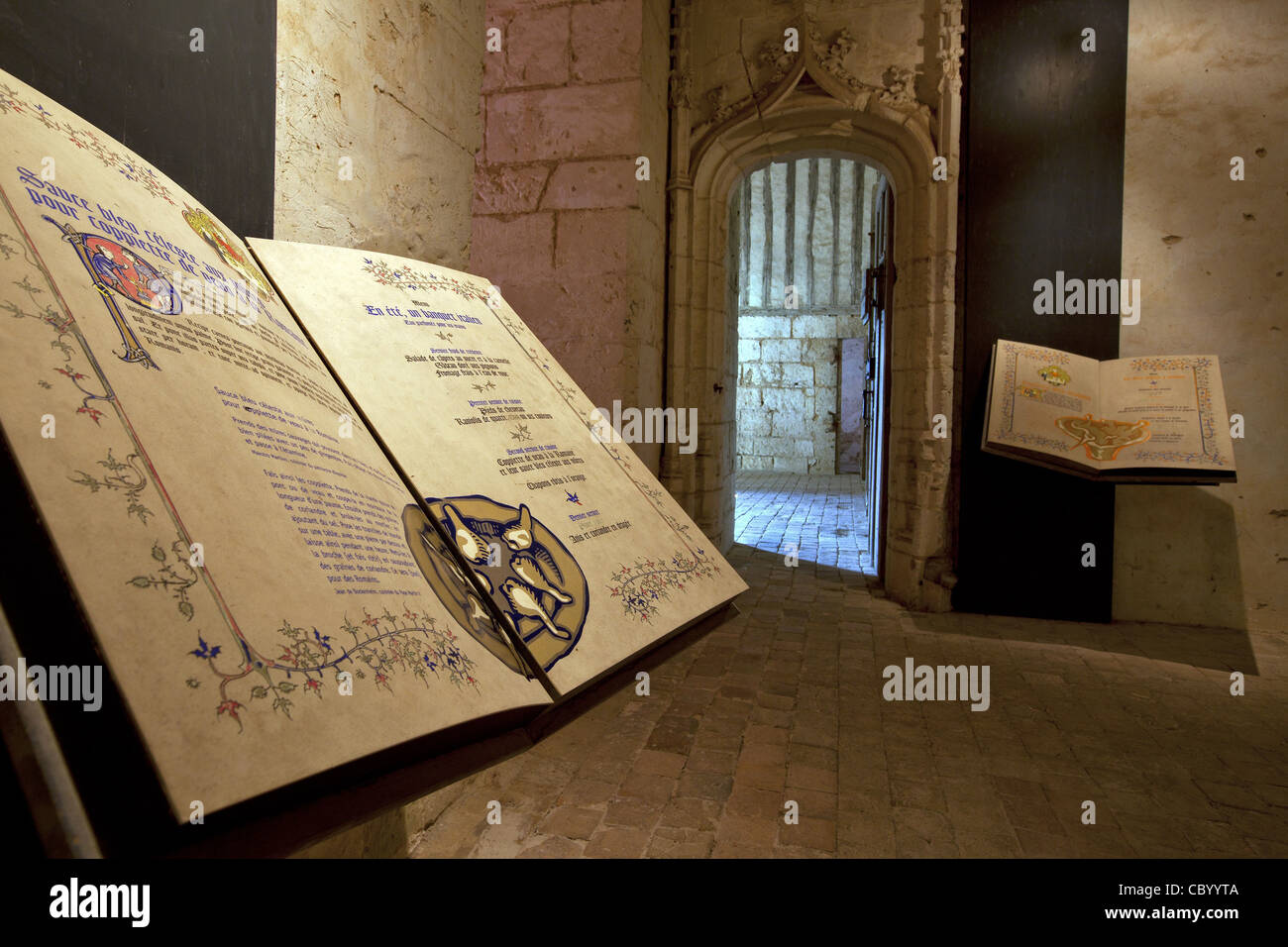 Manuscript illumination castle hi-res stock photography and images - Alamy