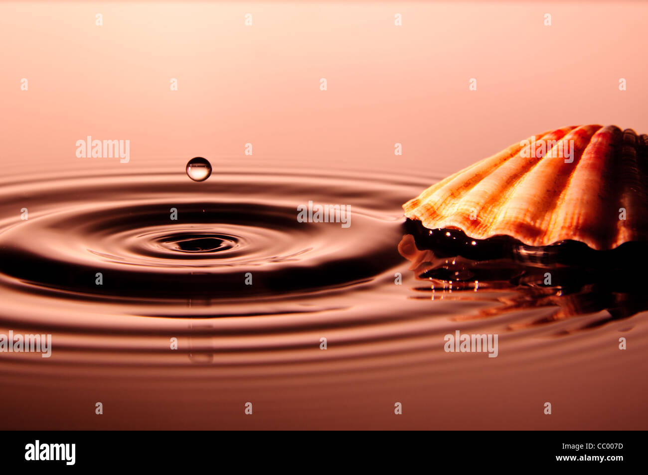 Drop with Shell Stock Photo - Alamy
