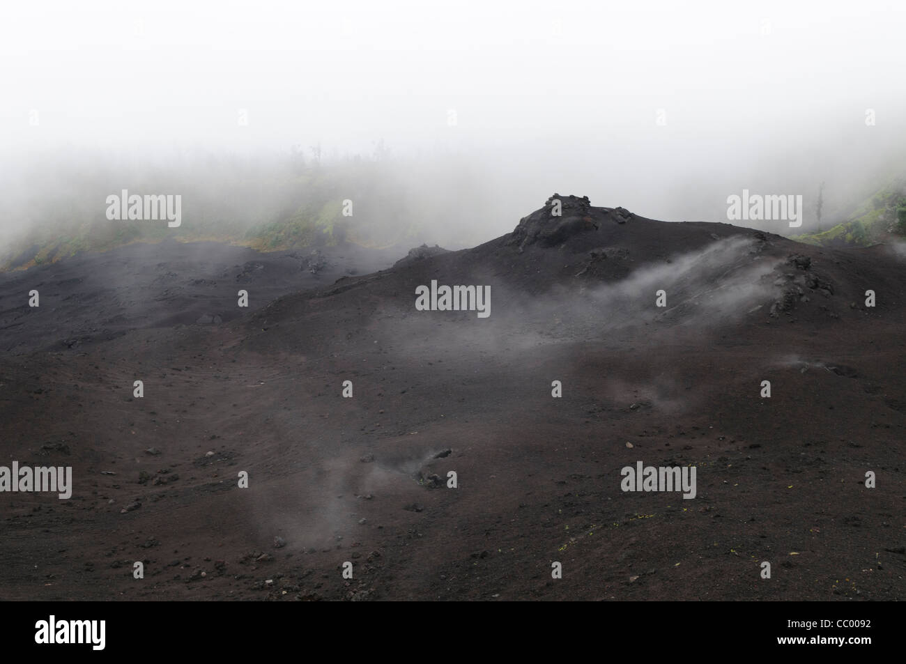 PACAYA VOLCANO, Guatemala — Steam rising from the warm ground mixes ...
