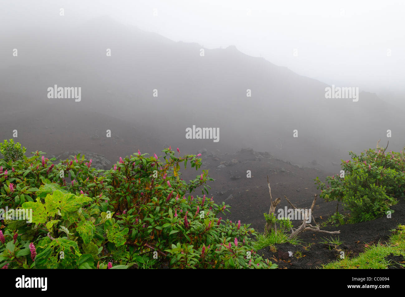 Pacaya volcano antigua hi-res stock photography and images - Alamy