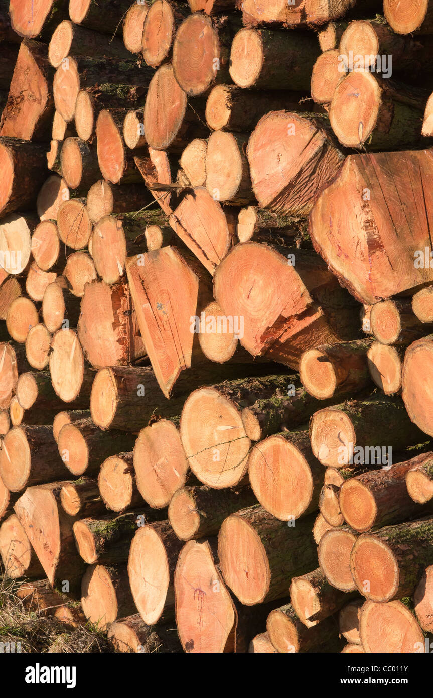 Forestry hi-res stock photography and images - Alamy