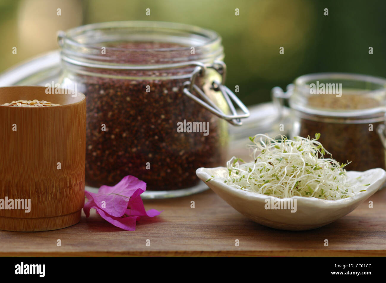 ORGANIC SEEDS AND CEREALS (LINSEED, QUINOA, ALFALFA SPROUTS AND SEED ...