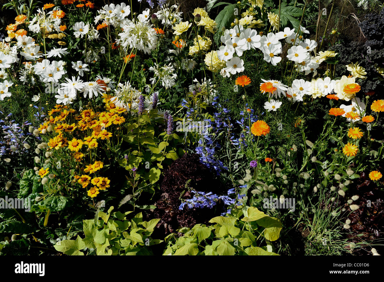 Bright colourful flowerbed hi-res stock photography and images - Alamy
