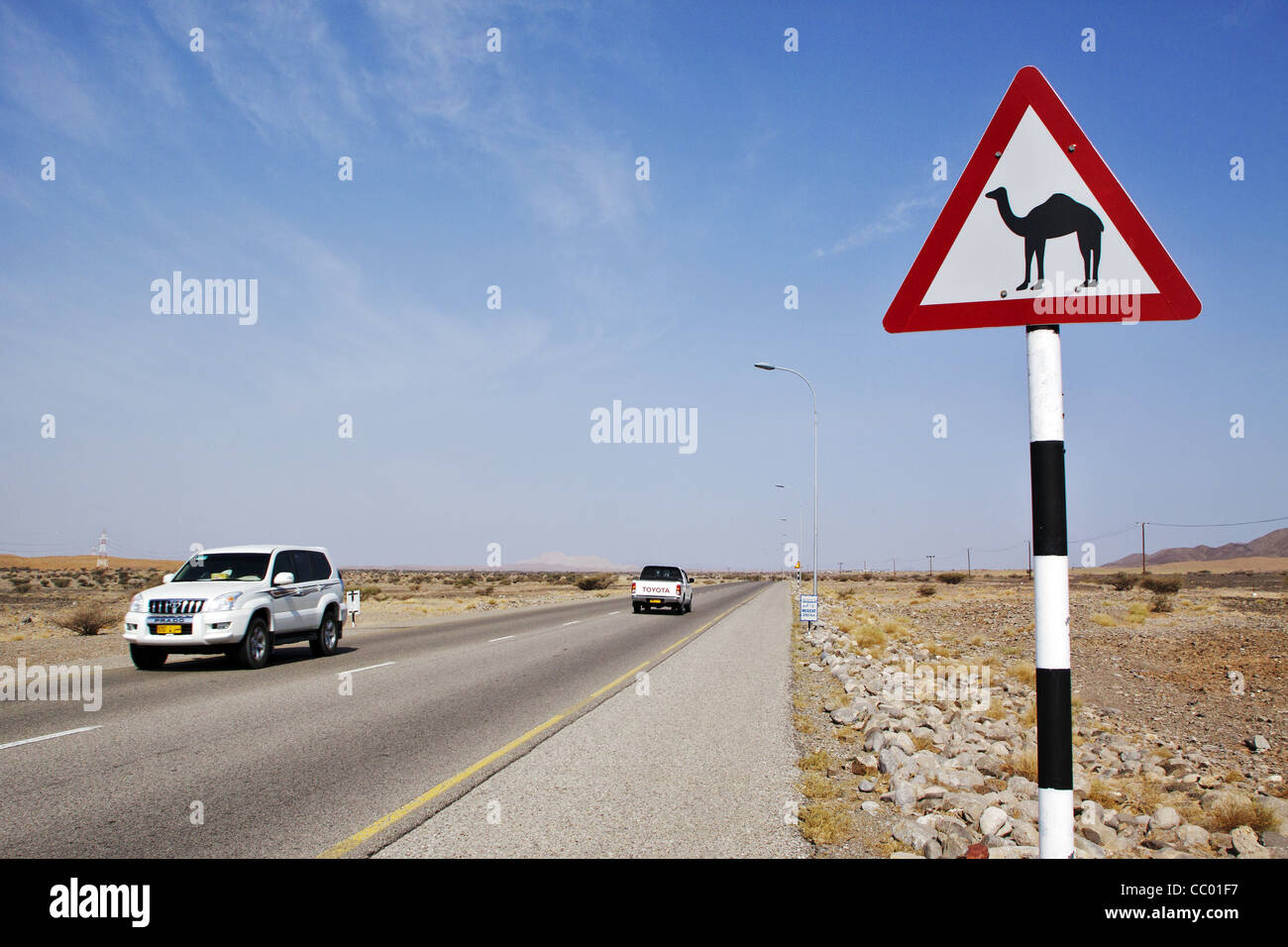 ROAD SIGN ALERTING DRIVERS TO THE PRESENCE OF CAMELS ON THE ROAD ...