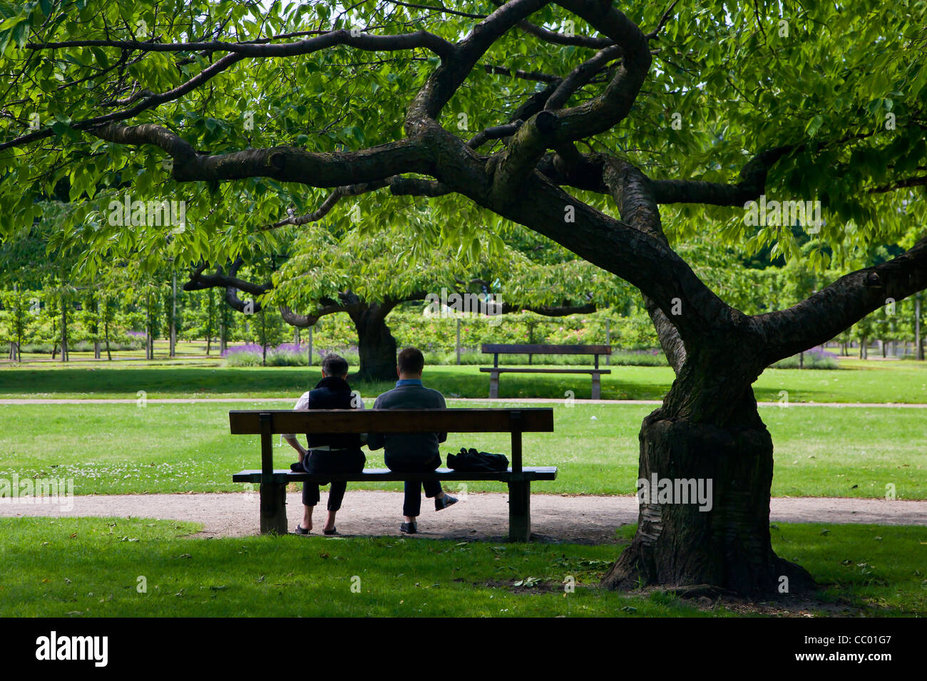 Man on bench under tree hi-res stock photography and images - Alamy
