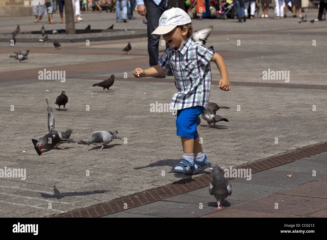 LITTLE BOY CHASING PIGEONS ON THE MARKET SQUARE (RYNEK GLOWNY), OLD ...