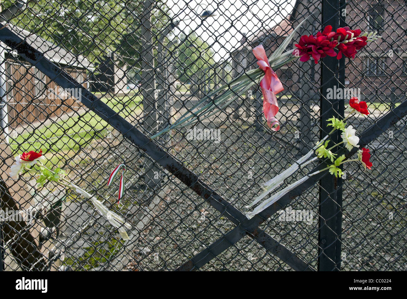 World war two nazi souvenir hi-res stock photography and images - Alamy