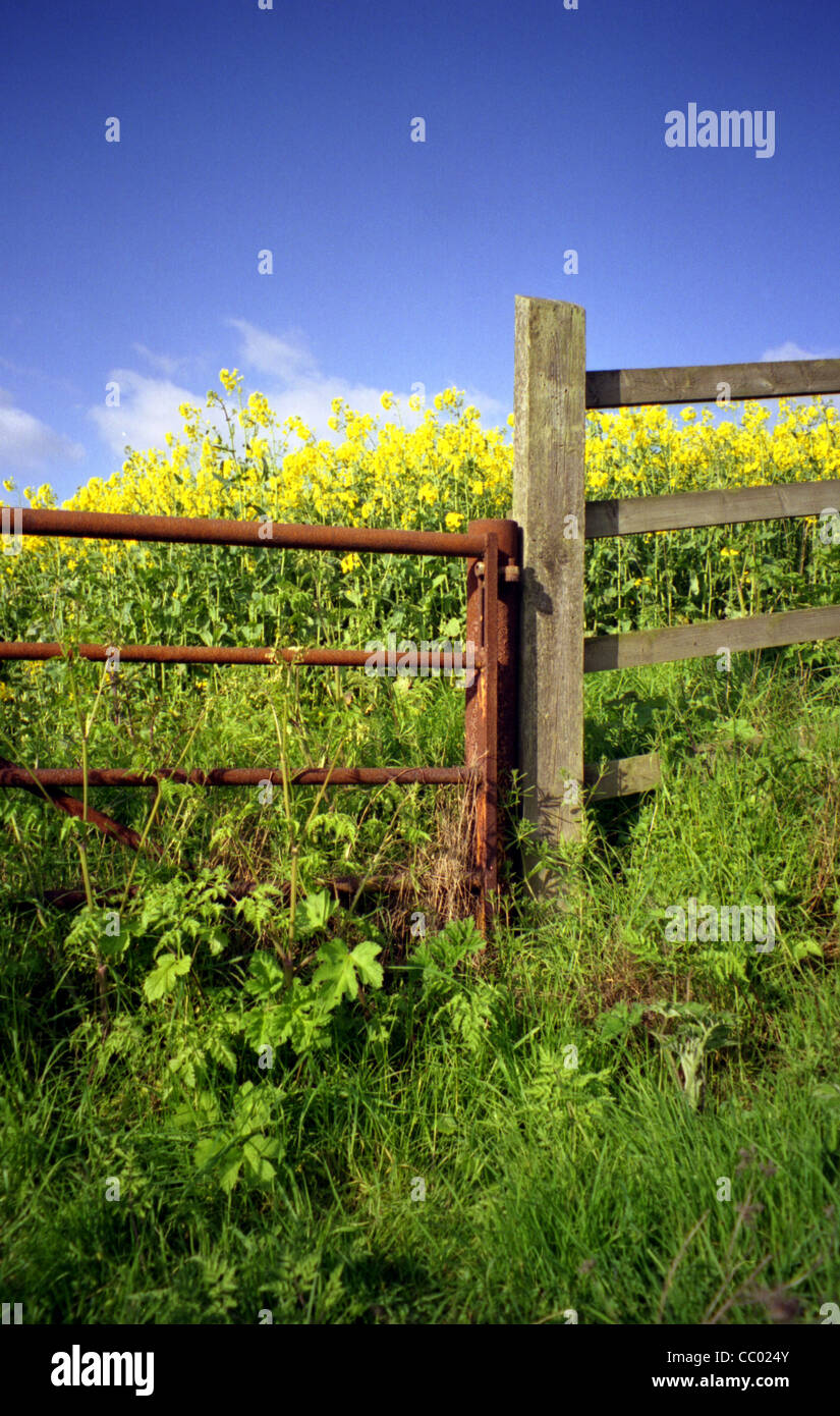 A rusty gate in the English countryside Stock Photo - Alamy