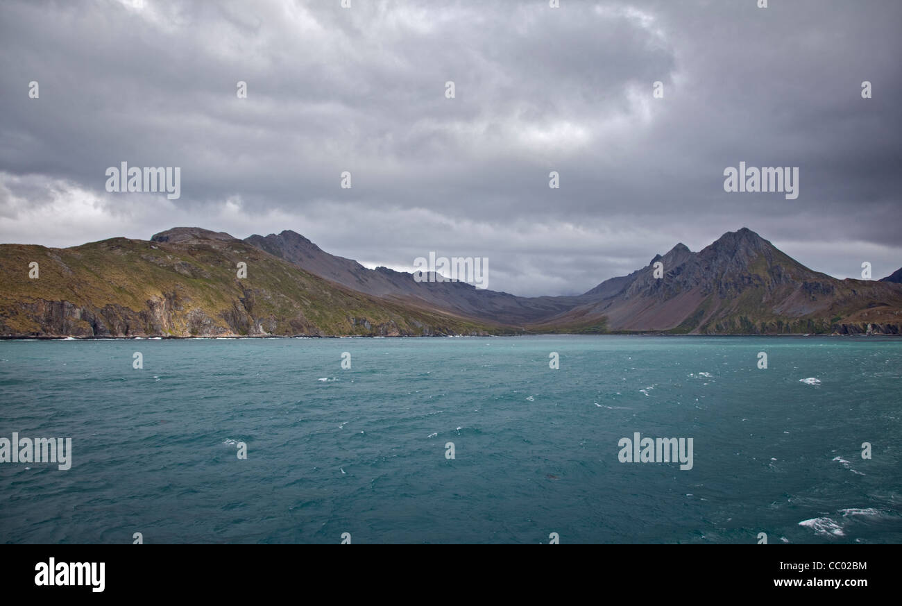Moltke Harbour, Royal Bay, South Georgia Stock Photo - Alamy