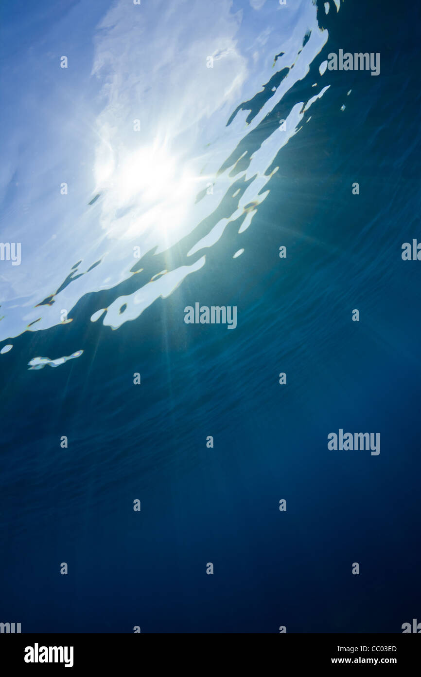 sun shines through the water in the red sea creating a beautiful blue ...