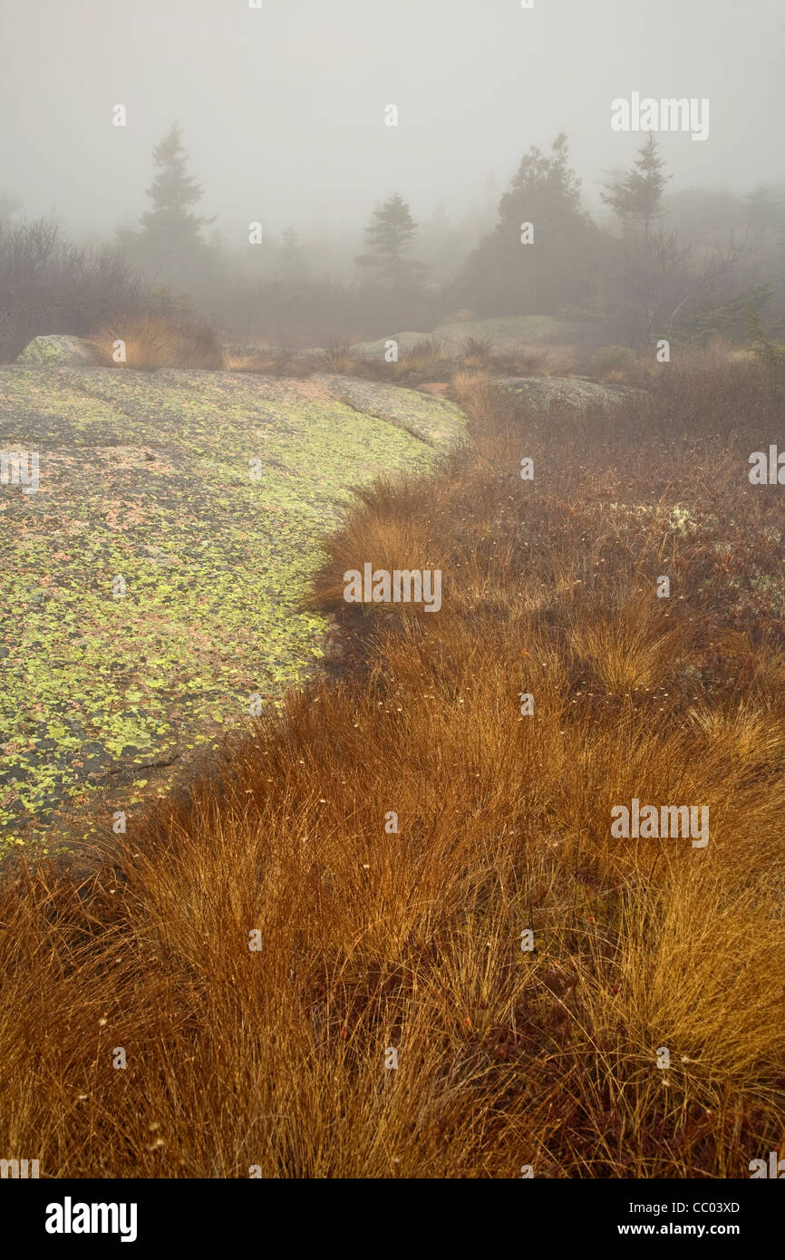 Fog at Cadillac Mountain in Acadia National Park, Maine Stock Photo - Alamy