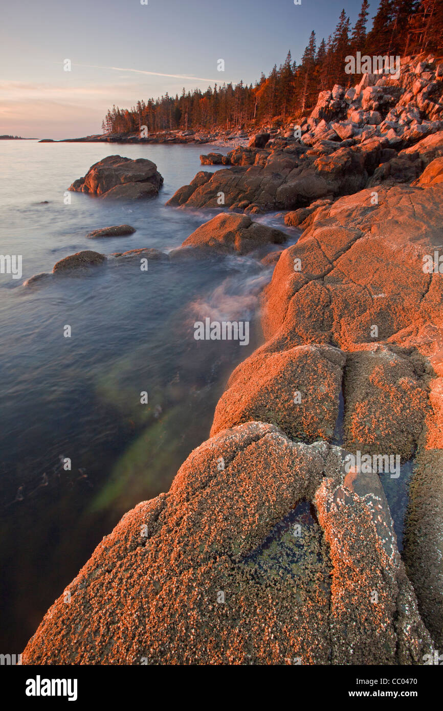 Schoodic peninsula acadia national park hi-res stock photography and ...