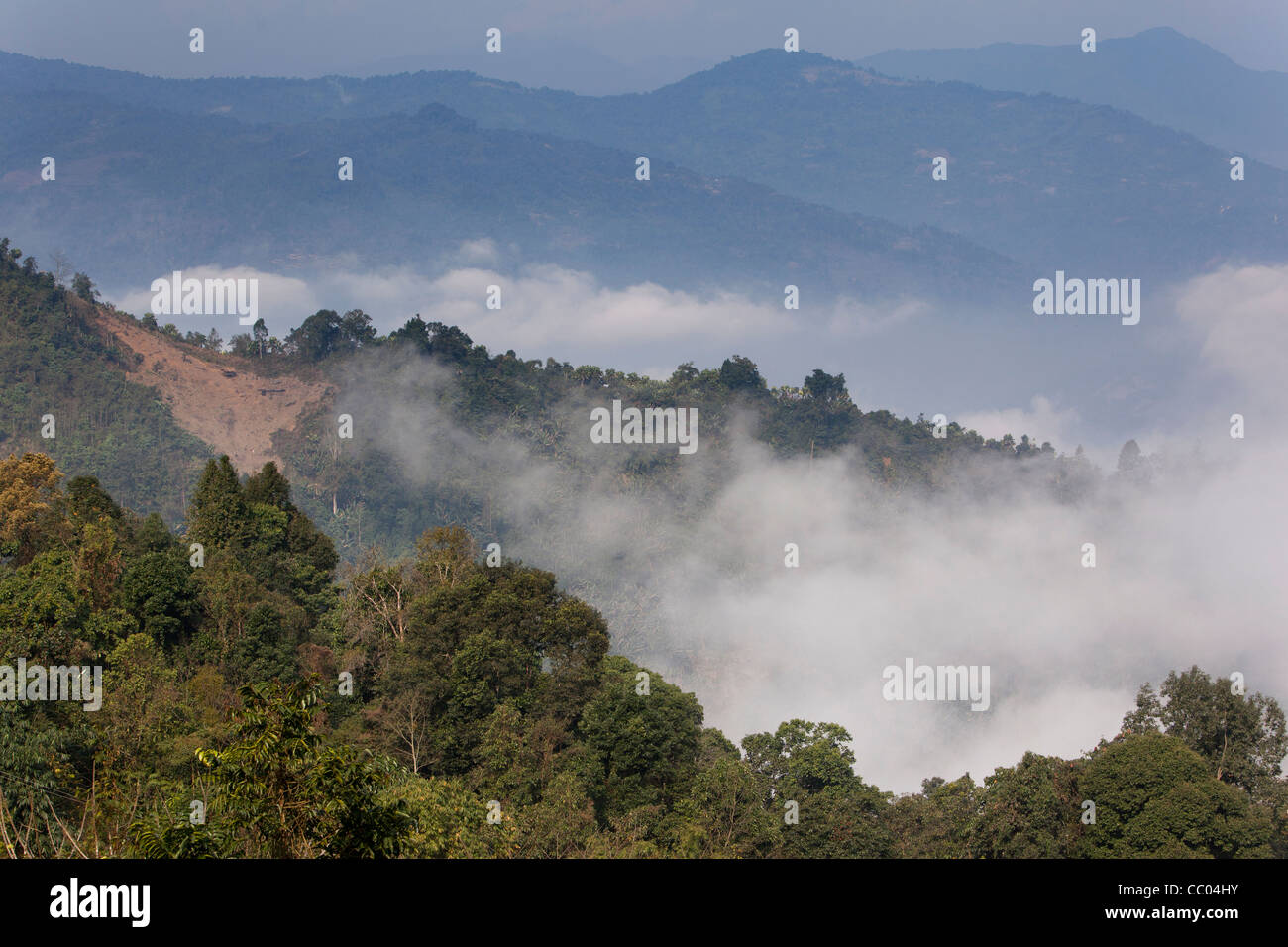 Cloud forests hi-res stock photography and images - Alamy