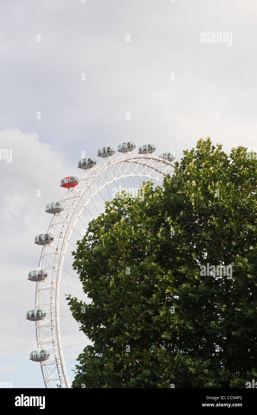 The 'London Eye' seen through trees on the South Bank, London, England ...