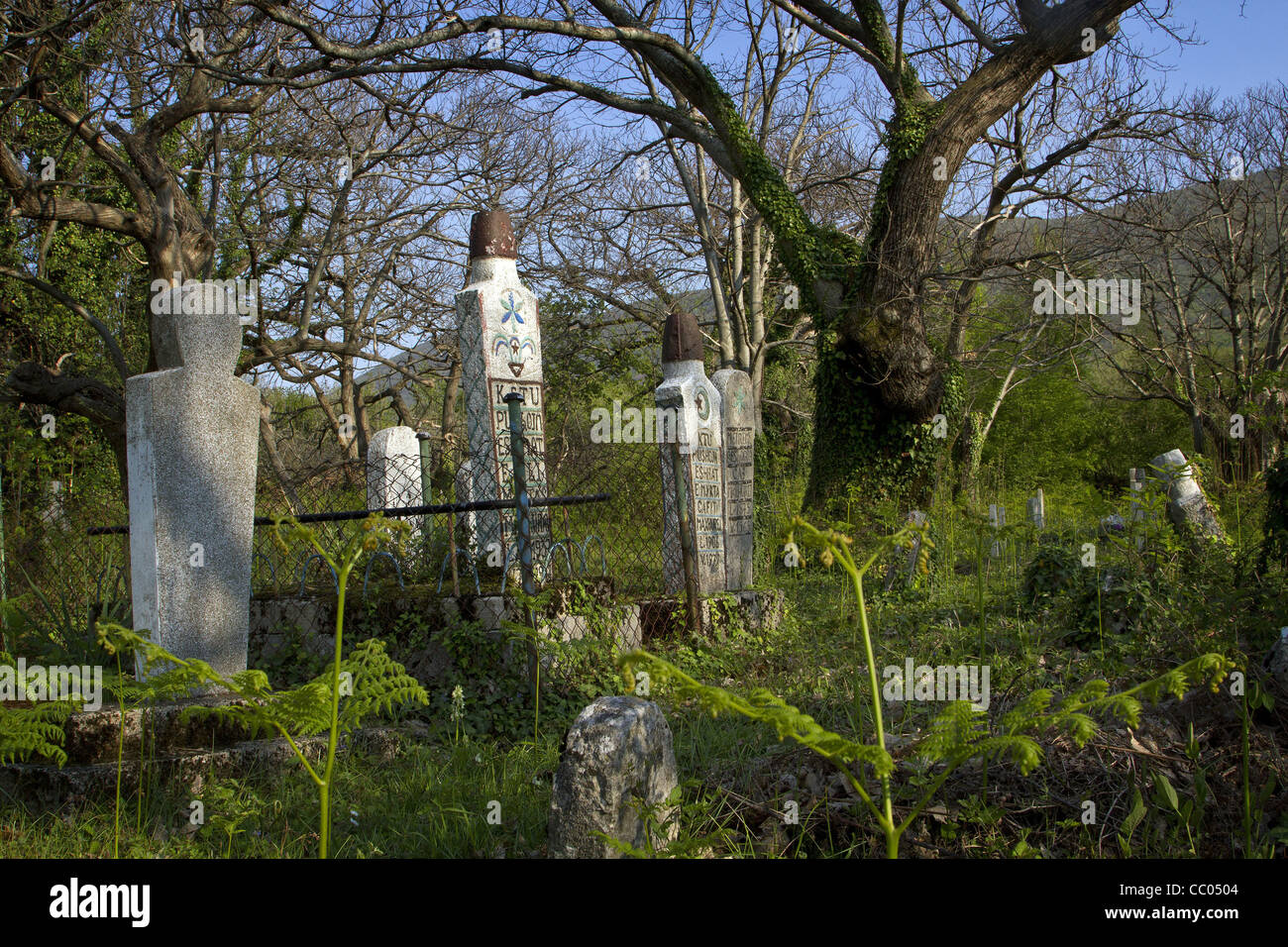 TRADITIONAL CEMETERY, HINTERLAND AROUND LAKE SKADAR (SKADARSKO JEZERO ...