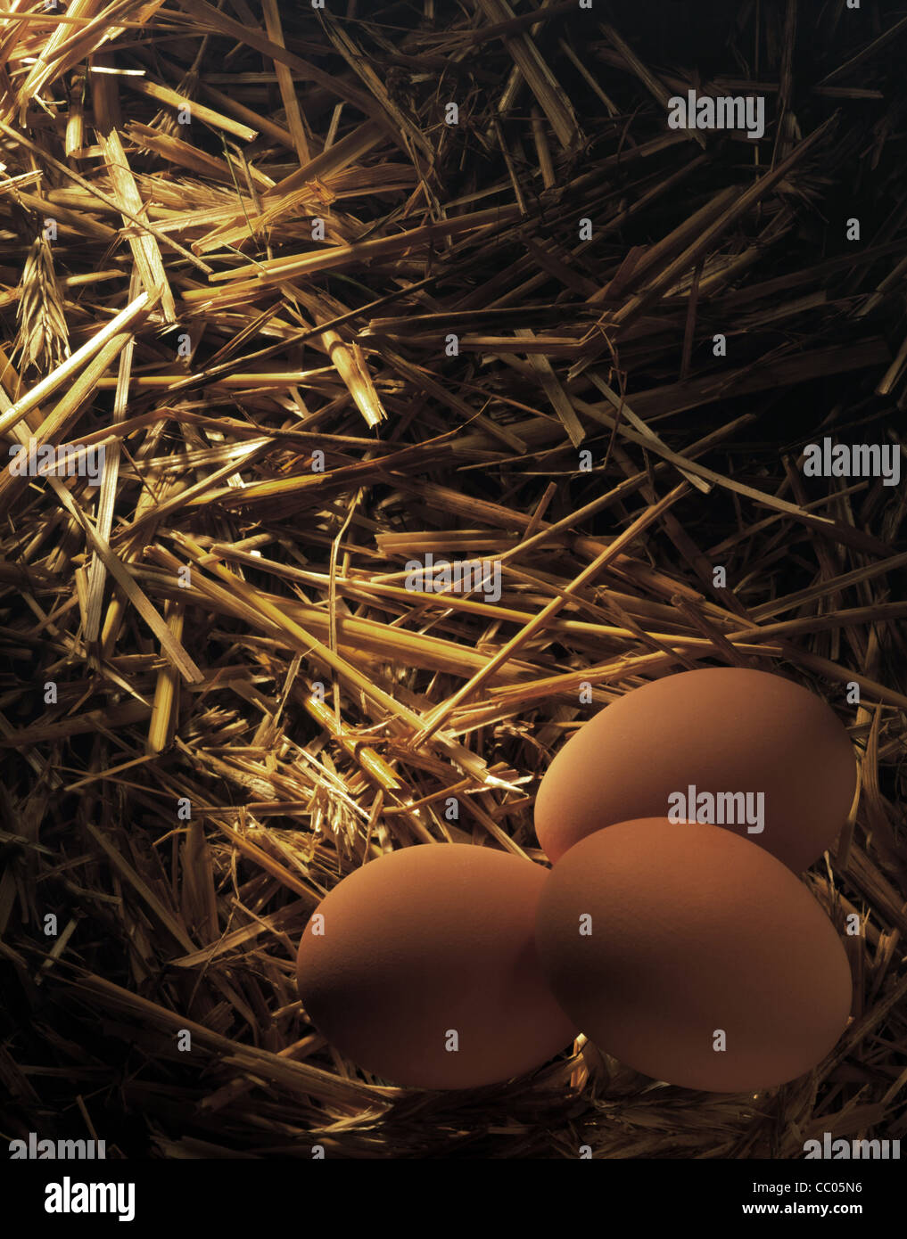 Still: Tree Eggs in straw - nest Stock Photo - Alamy