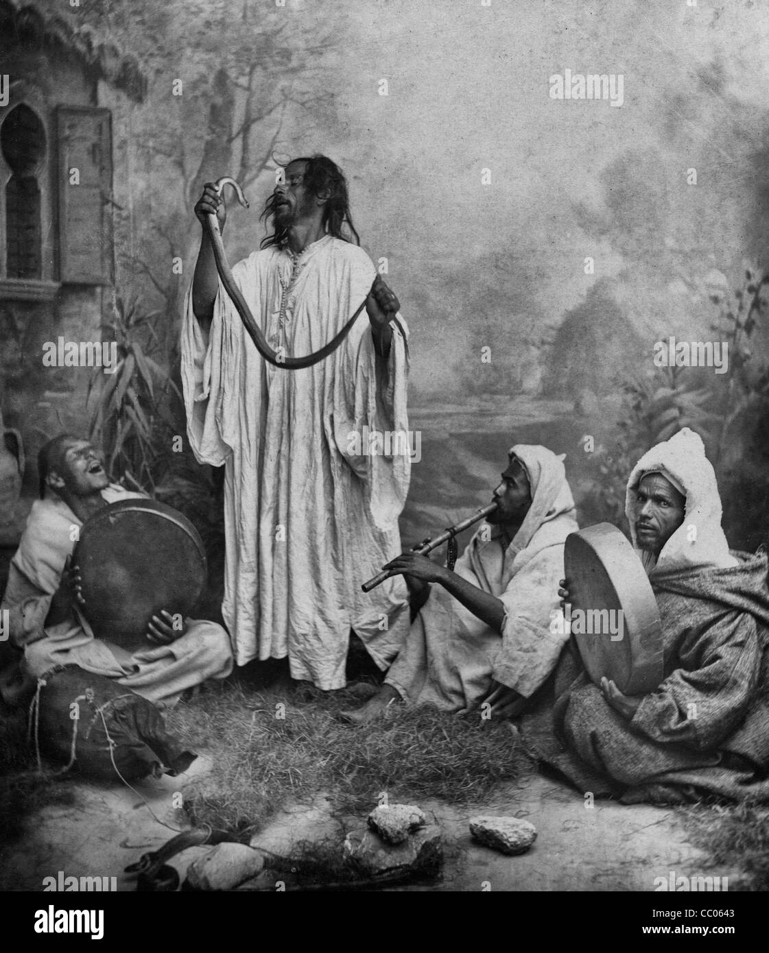 Hand holding snake hi-res stock photography and images - Alamy