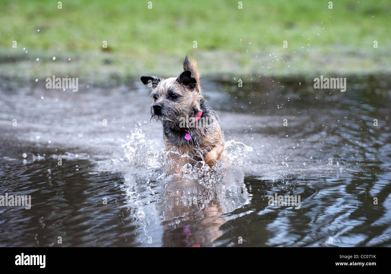 Ilkley West Yorkshire scenes Stock Photo - Alamy