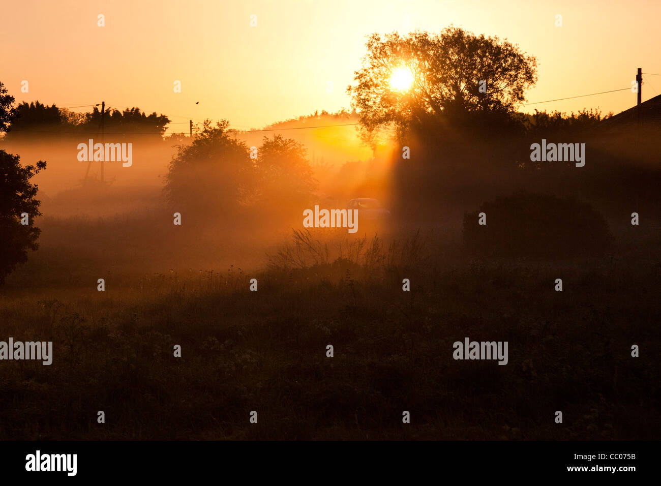 Ray of early morning light hi-res stock photography and images - Alamy