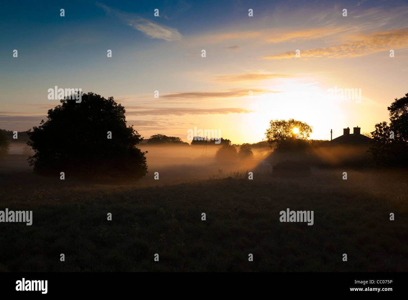 early morning mist in Suffolk countryside, UK Stock Photo - Alamy