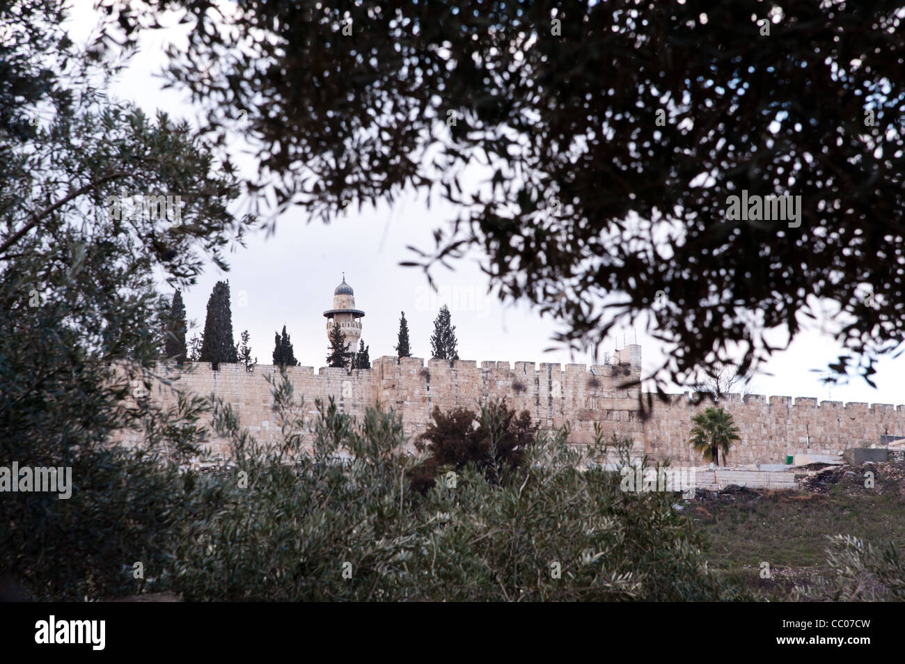 Mosque of the olive tree mosque hi-res stock photography and images - Alamy