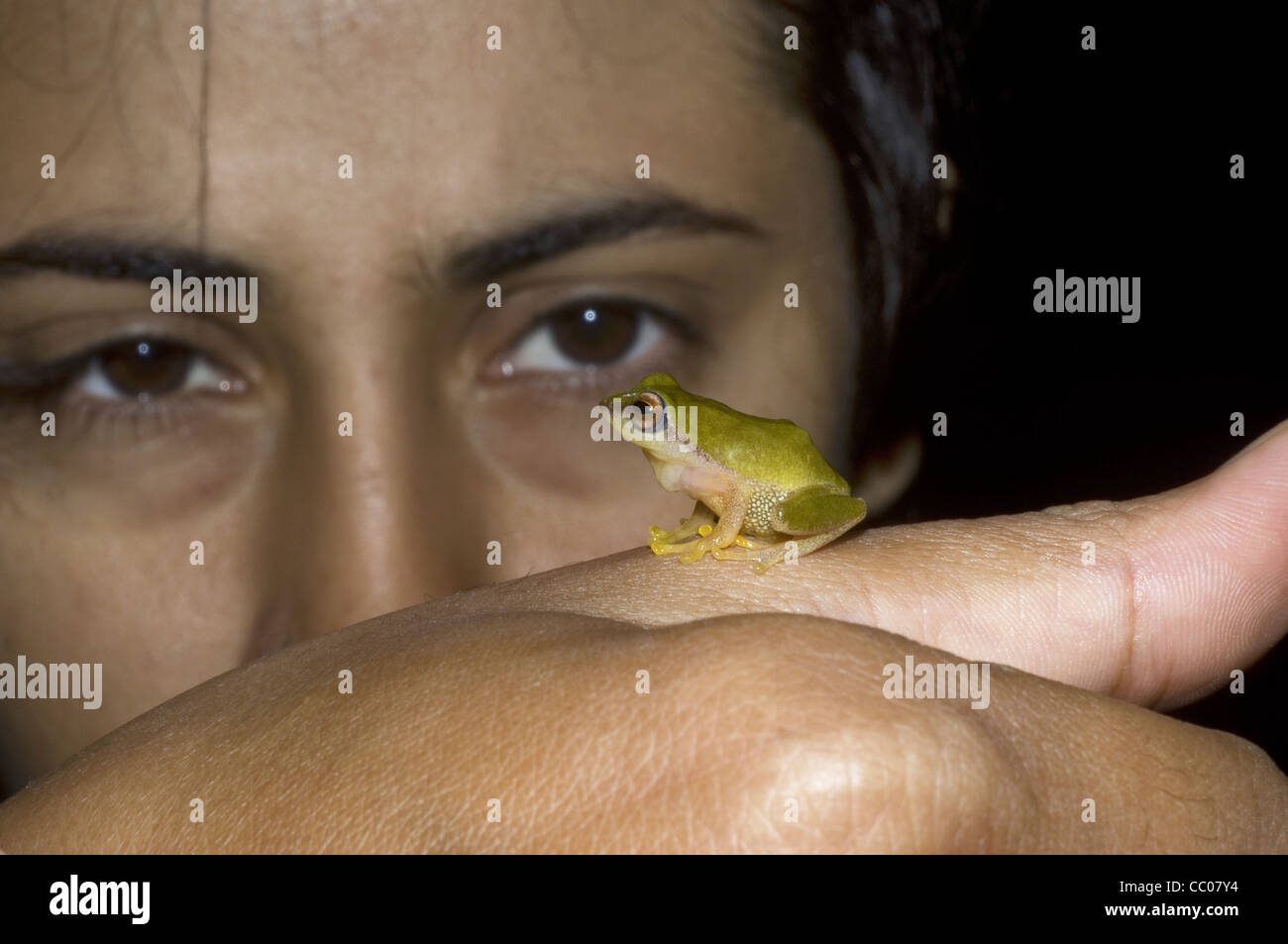 Frog photographs hi-res stock photography and images - Alamy