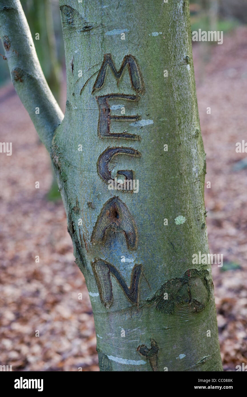 Megan welsh hi-res stock photography and images - Alamy