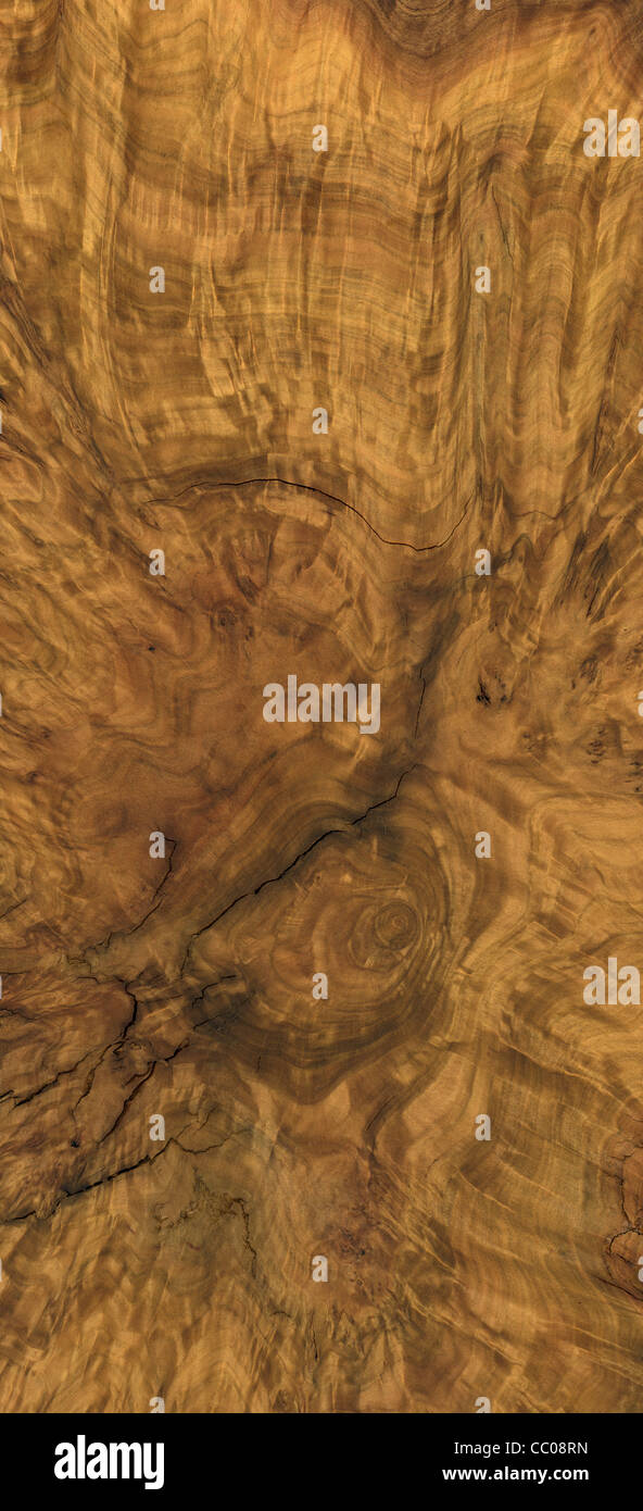 Burl wood hi-res stock photography and images - Alamy