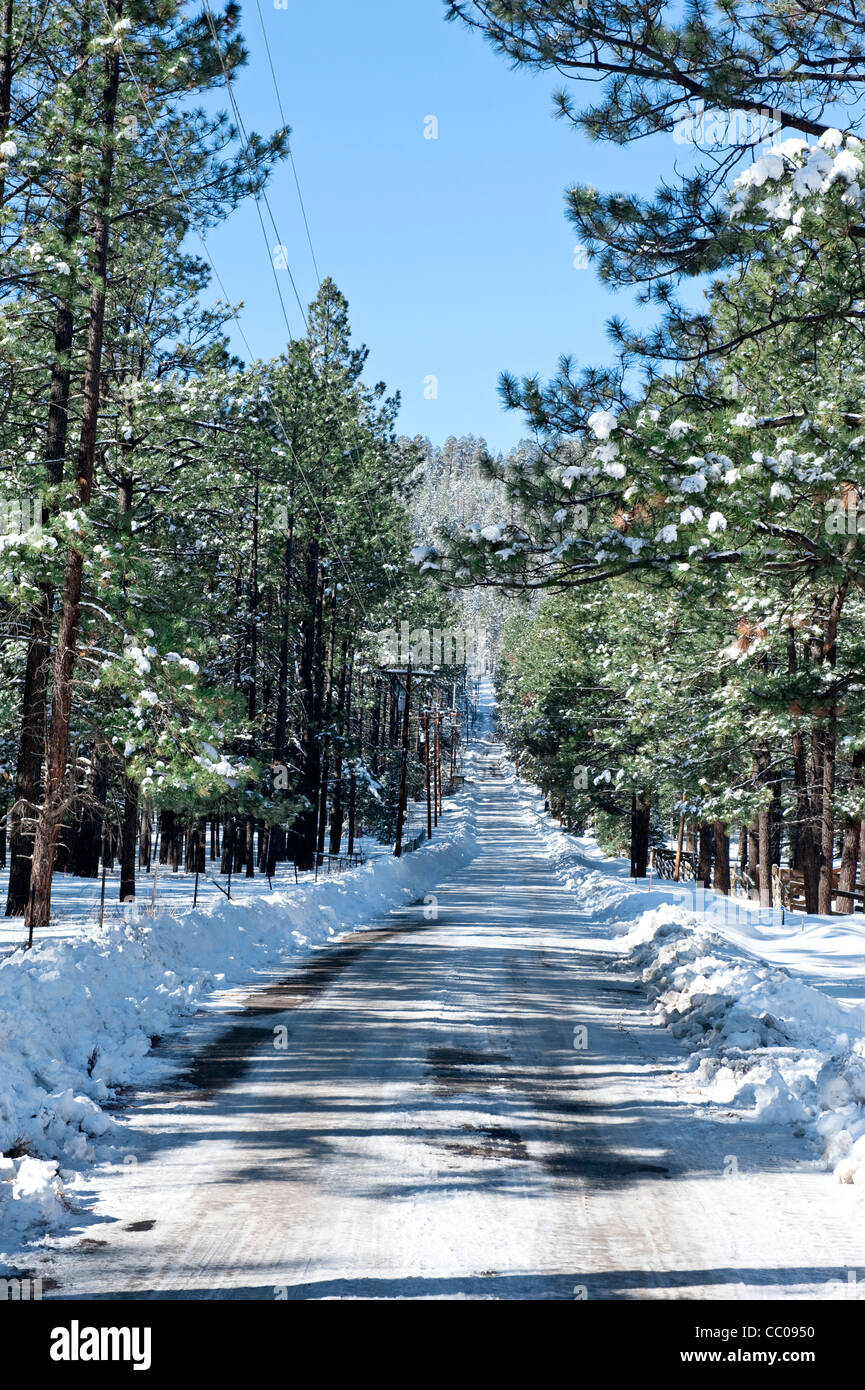 Ice covered road hi-res stock photography and images - Alamy