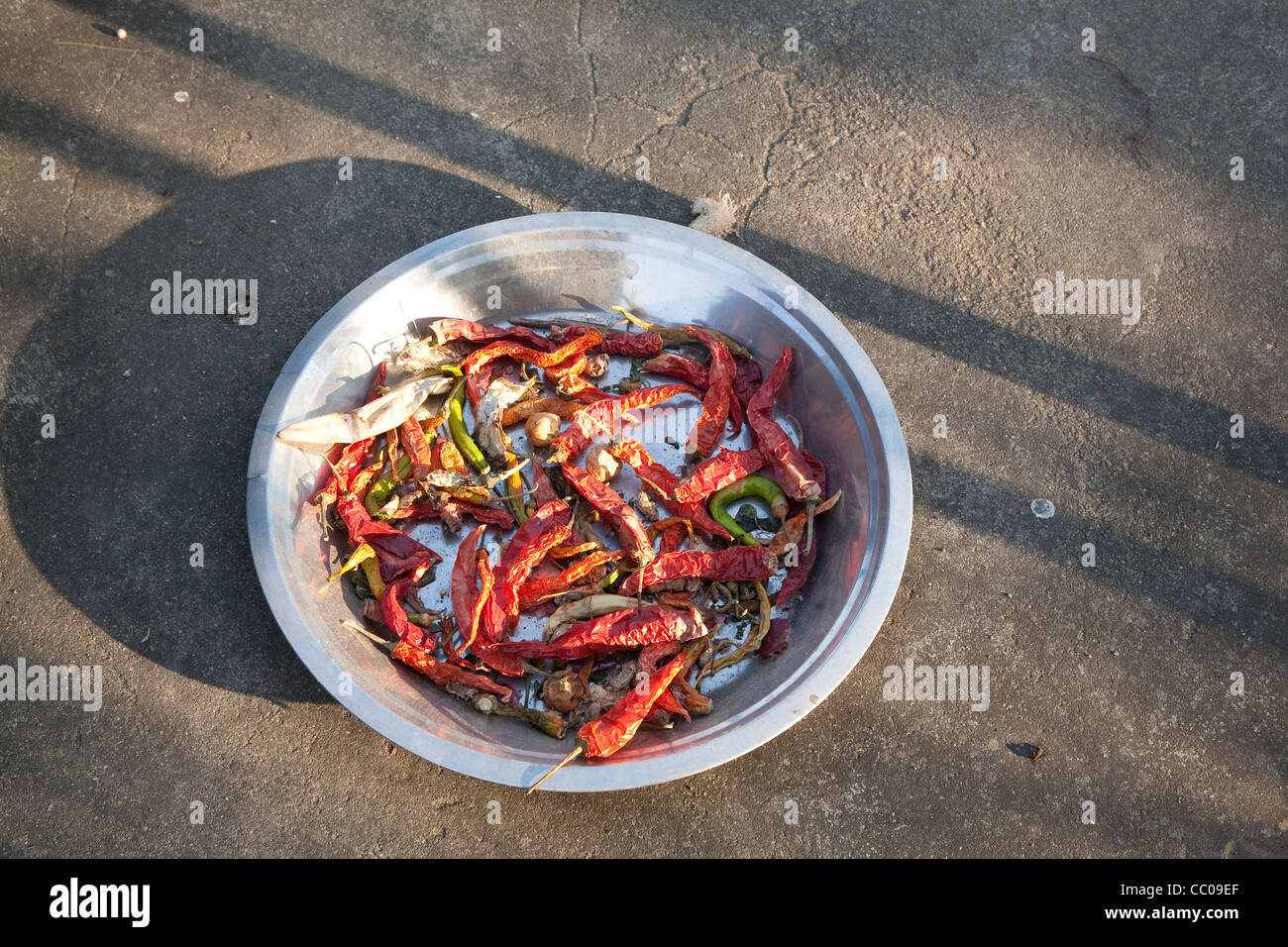 Red and green chilli peppers drying in the sun at the Udayan Campus ...