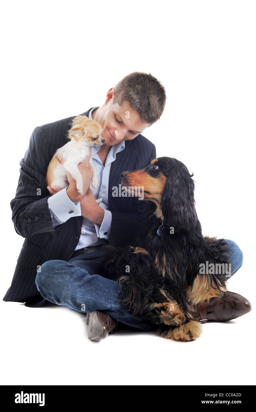 man withe a purebred english cocker and chihuahua in a studio Stock ...