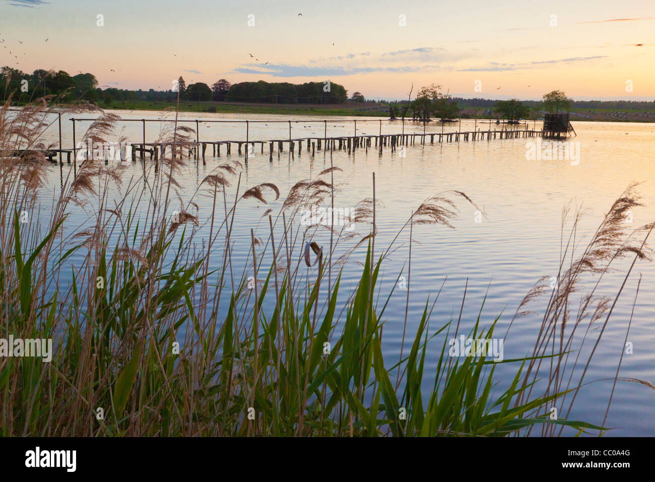 lake in Suffolk, UK Stock Photo - Alamy