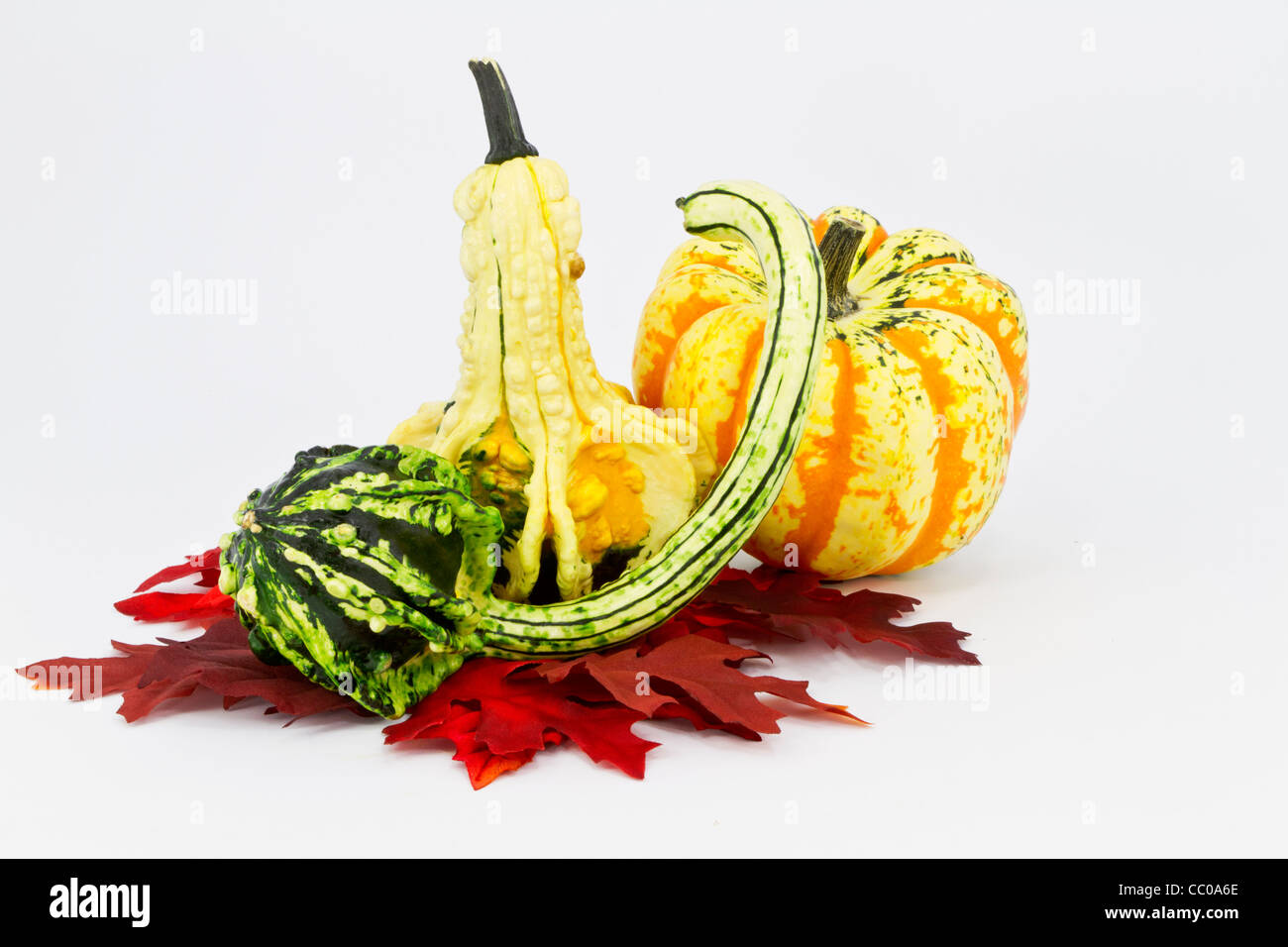 Decorative gourds hi-res stock photography and images - Alamy
