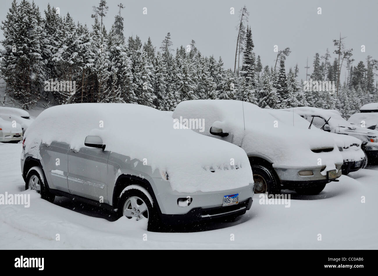 cars covered in deep snow in a parking lot. Montana, USA Stock Photo ...