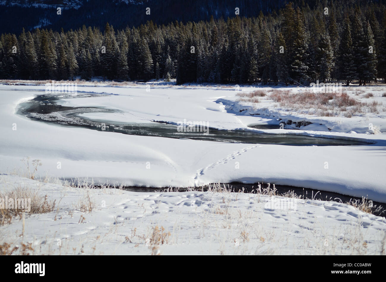 River flowing through forest snow hi-res stock photography and images ...