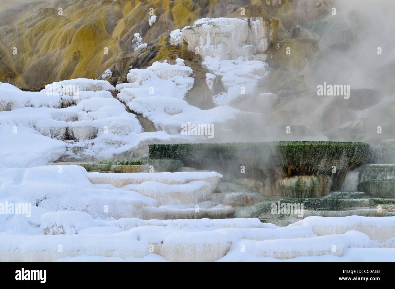 Steam rising from colorful travertine terrace and pools. Mammoth Hot ...