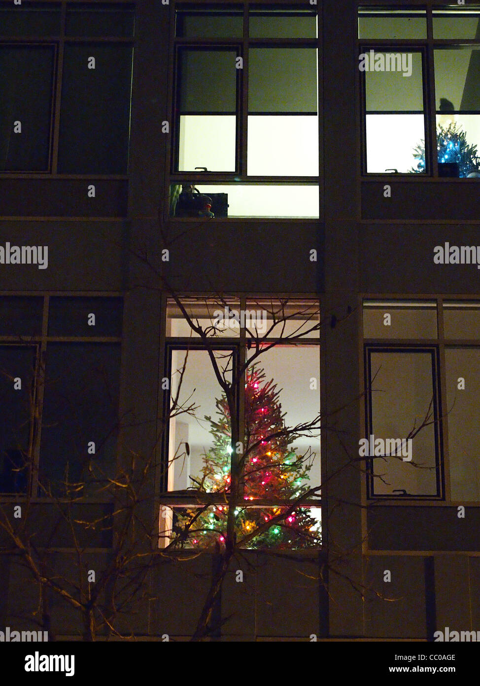 Christmas tree in window of modern apartment building, Brooklyn, New ...