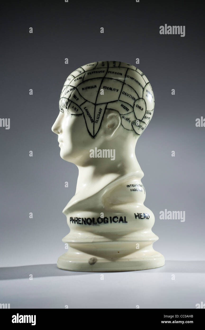 Phrenology - the science which studies the relationships between a ...