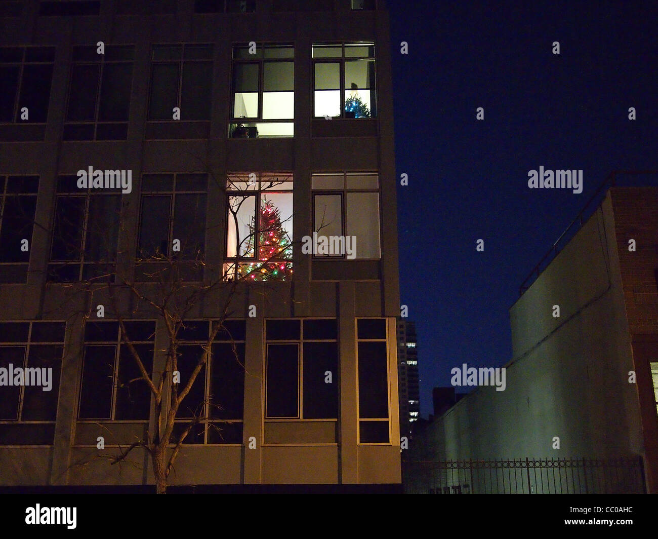 Christmas tree in window of modern apartment building, Brooklyn, New ...