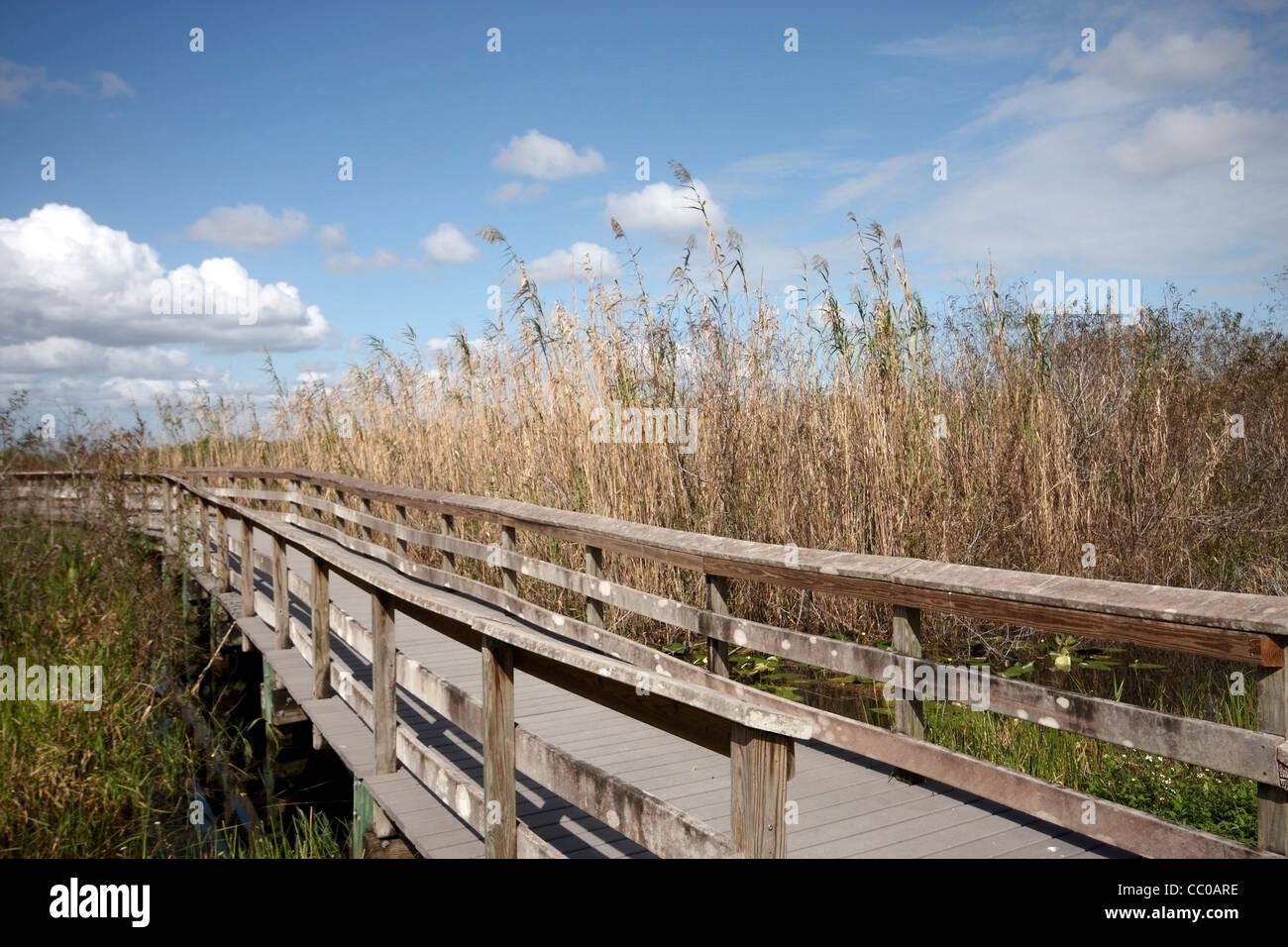 A wooden bridge through a nature reserve Stock Photo - Alamy