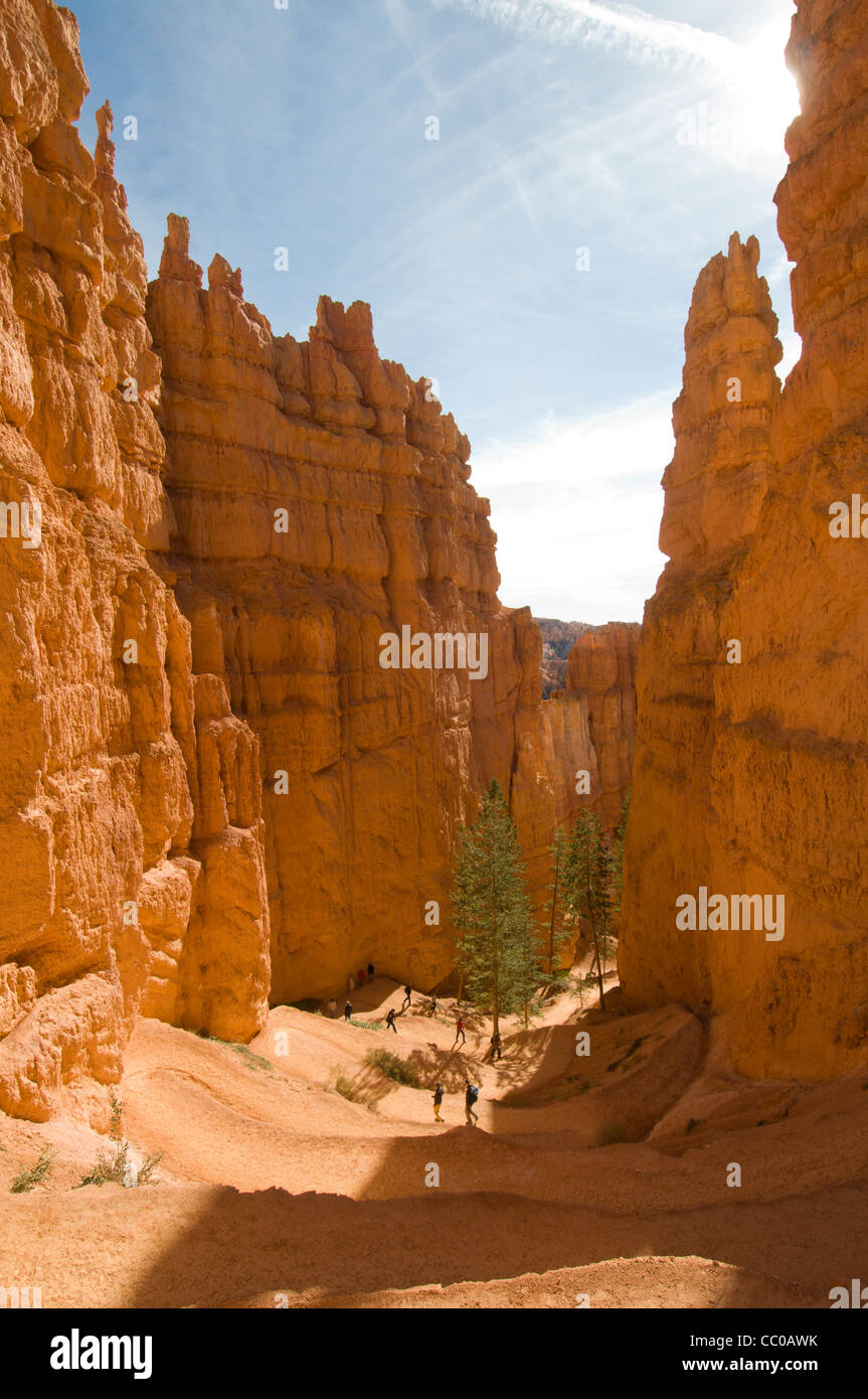 Switchback trail hi-res stock photography and images - Alamy