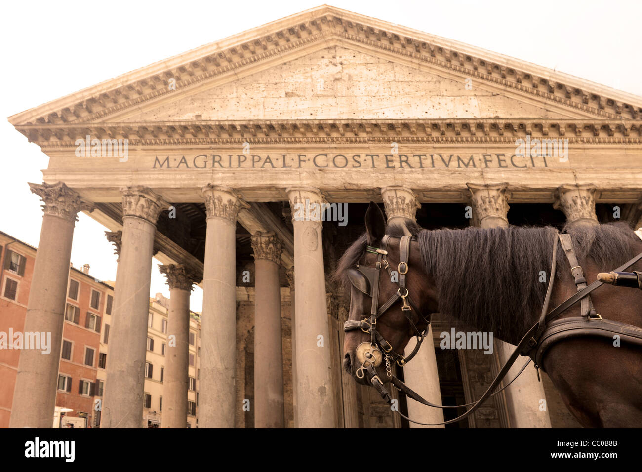 Roman horse carriage hi-res stock photography and images - Alamy