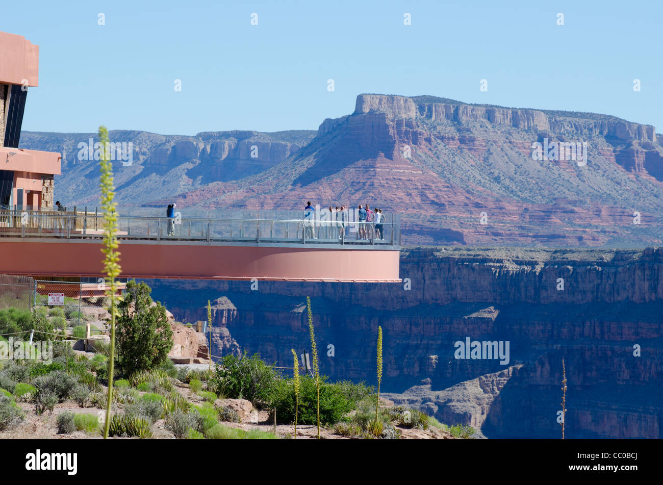 Grand Canyon Skywalk above the Colorado River In Arizona Stock Photo ...