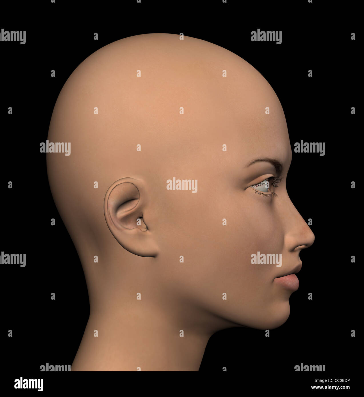 Female figure profile on black background. Digitally created 3d ...