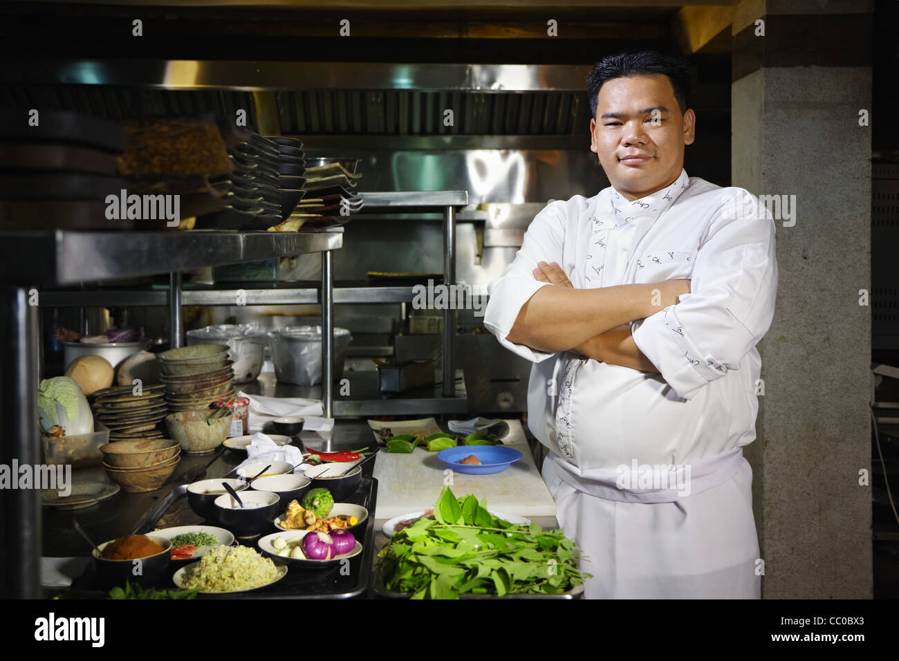 Portrait of adult man at work as chef in the kitchen of an Asian ...