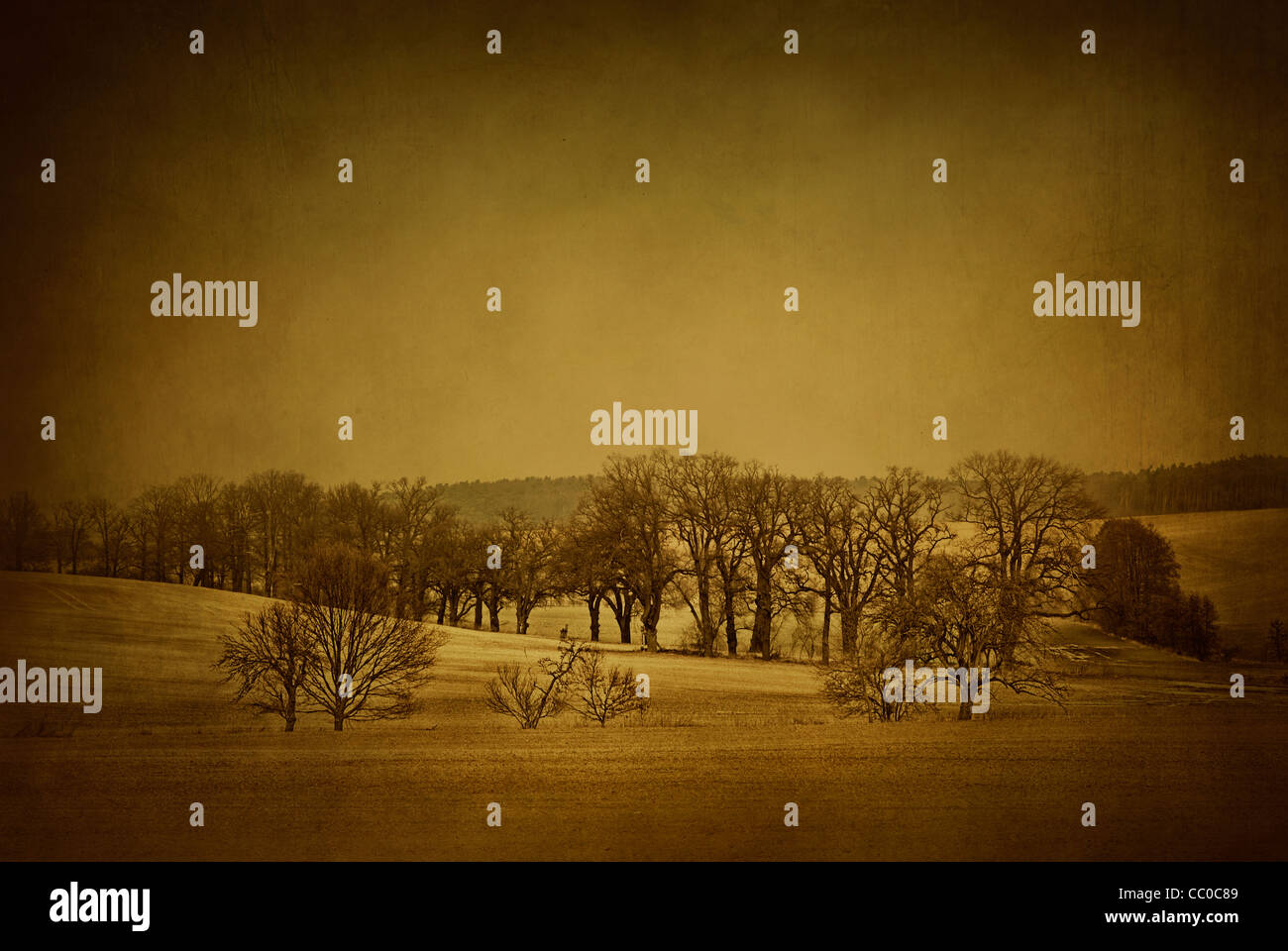 Moody snow scene in Oslo Norway Stock Photo - Alamy