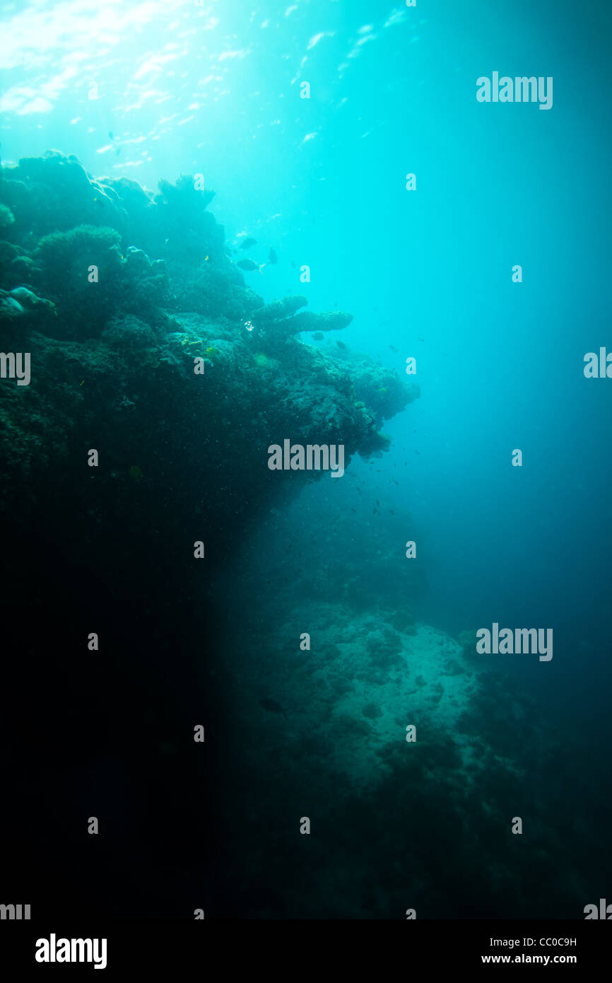 Coral edge hi-res stock photography and images - Alamy