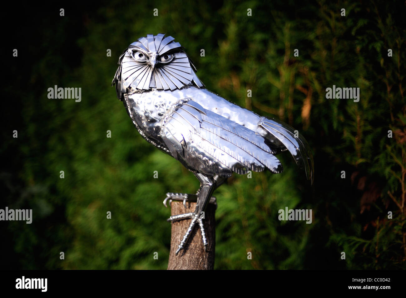 Silver owl hi-res stock photography and images - Alamy