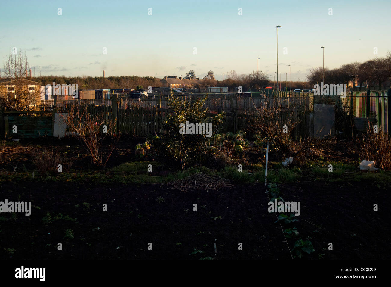 Ashington High Resolution Stock Photography and Images - Alamy