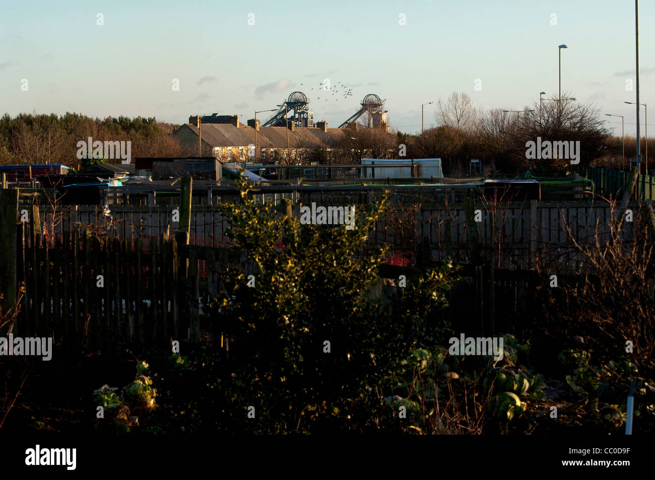 Ashington northumberland hi-res stock photography and images - Alamy